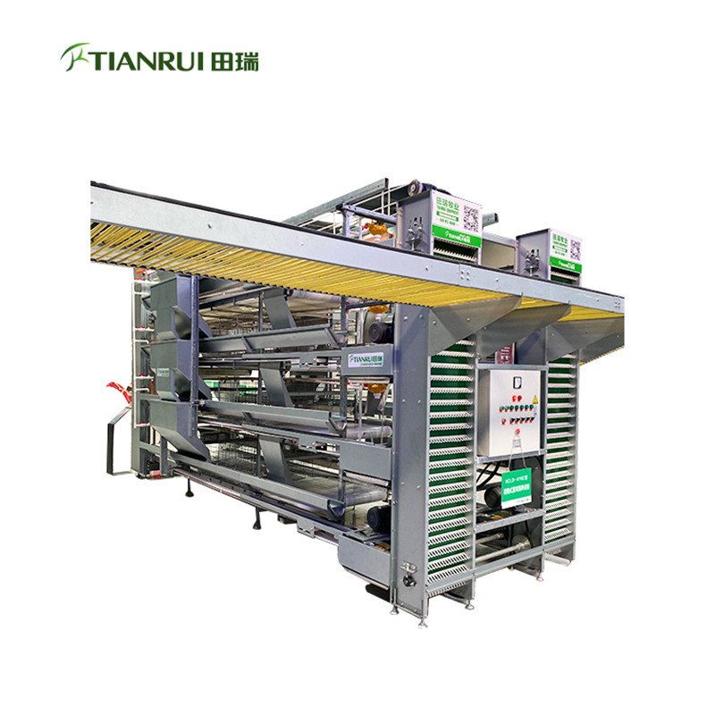 Advanced H-Type layer equipment | Layer equipment factory in China