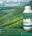 ChaiFlush Prime Tea Fertilizer for Shoot Flushing | Bright Honor